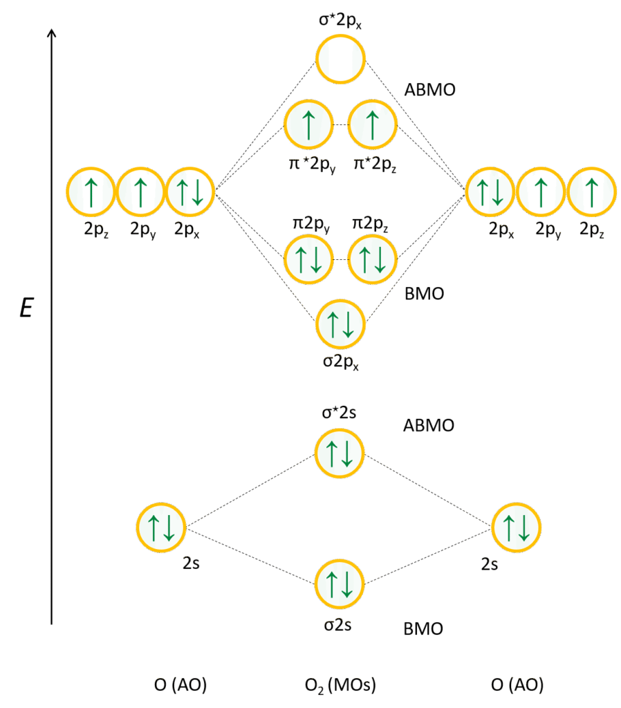 Theories of Covalent Bonding and Shape of Molecules - Mahida Academy ...